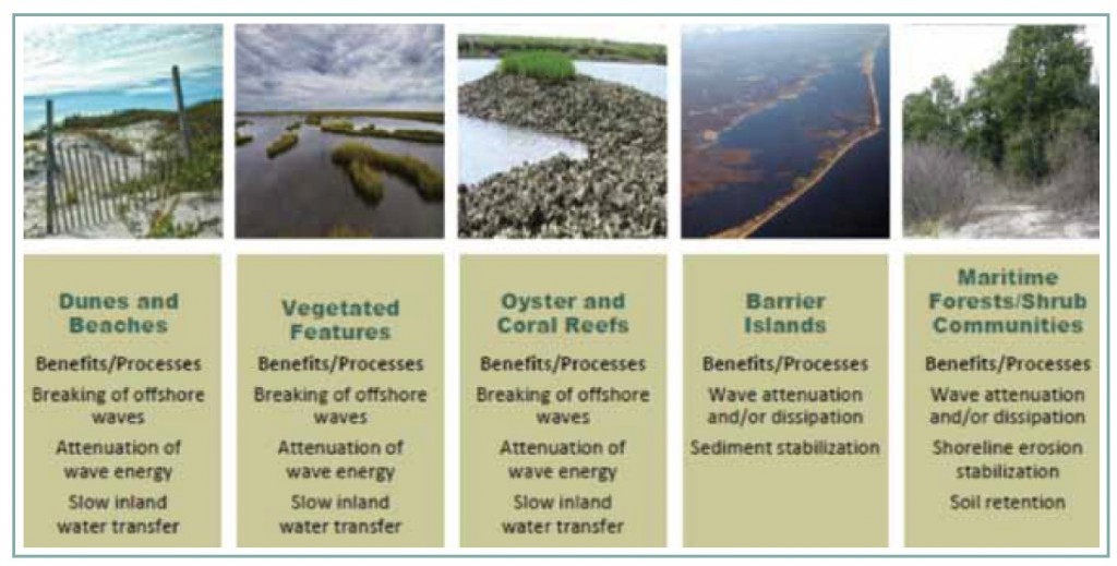 Natural Defenses from Hurricanes and Floods: Protecting America’s ...