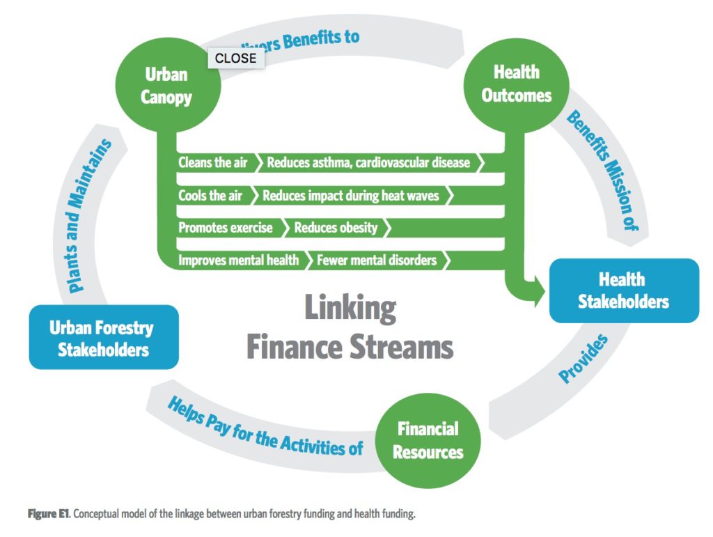 Trees and Public Health: Report from The Nature Conservancy ...